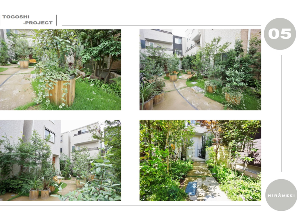 TG-PROJECT - Projects - HIRAMEKI