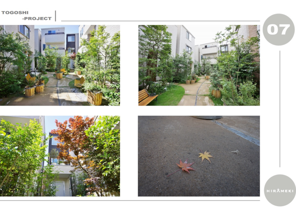 TG-PROJECT - Projects - HIRAMEKI